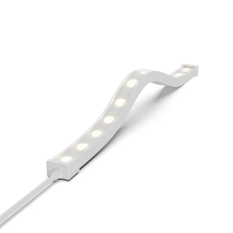 Continuity LT LED Neon Flex | All Square Lighting